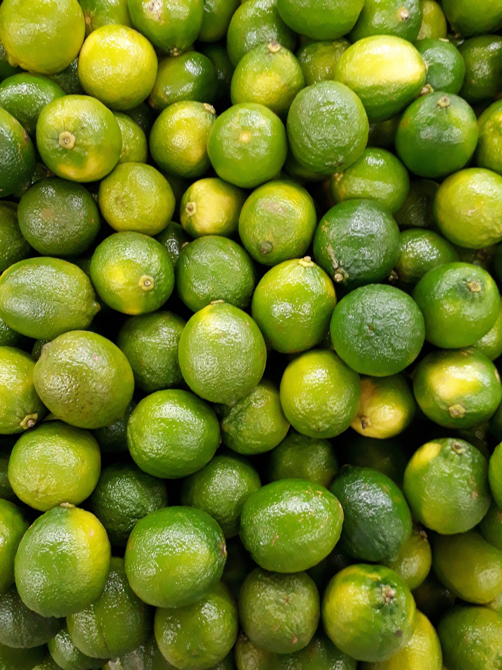 Calamansi (Calamondin) / 1 kg – The House Of Goodies